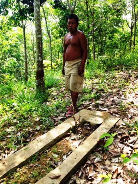 JATAN – Japanese Tropical Forest Action Network » Blog Archive » 日本でいちばん売られているコピー用紙の原料調達地を訪ねる ...